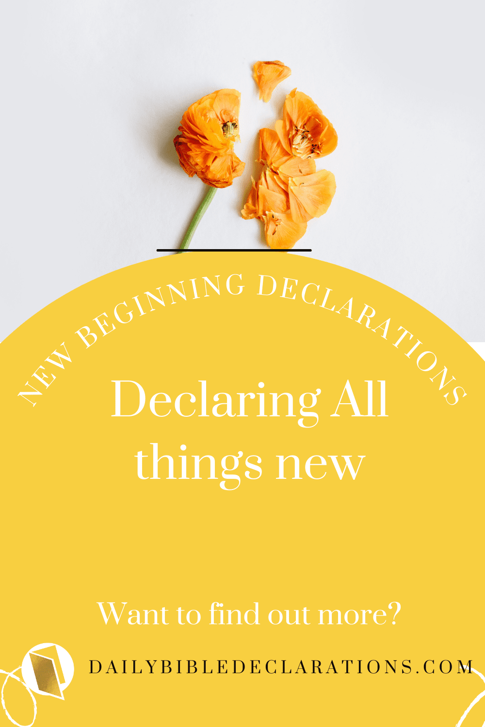 Declare All Things New Bible Verse