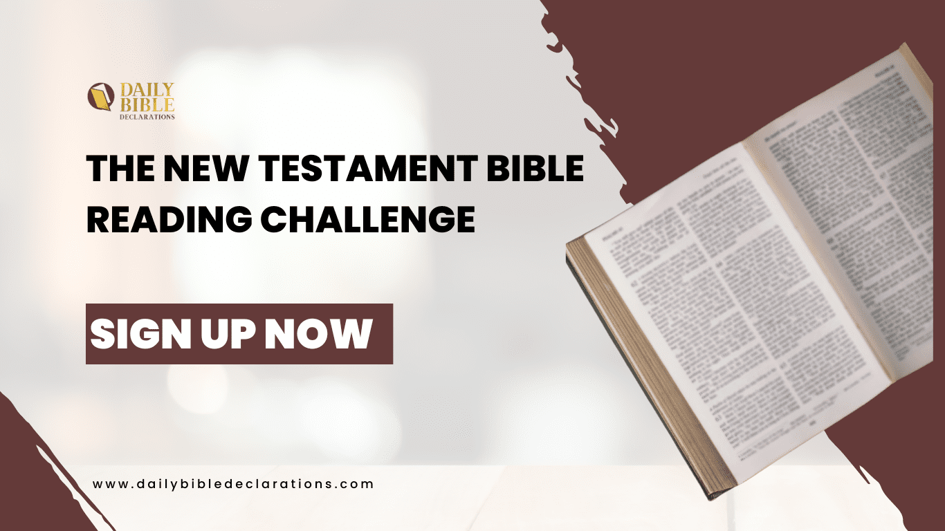 The Daily Bible Declarations - Spiritual tools to transform your life