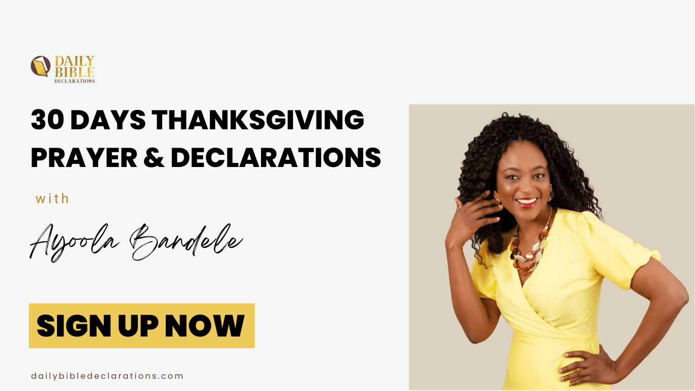 The Daily Bible Declarations - Spiritual tools to transform your life